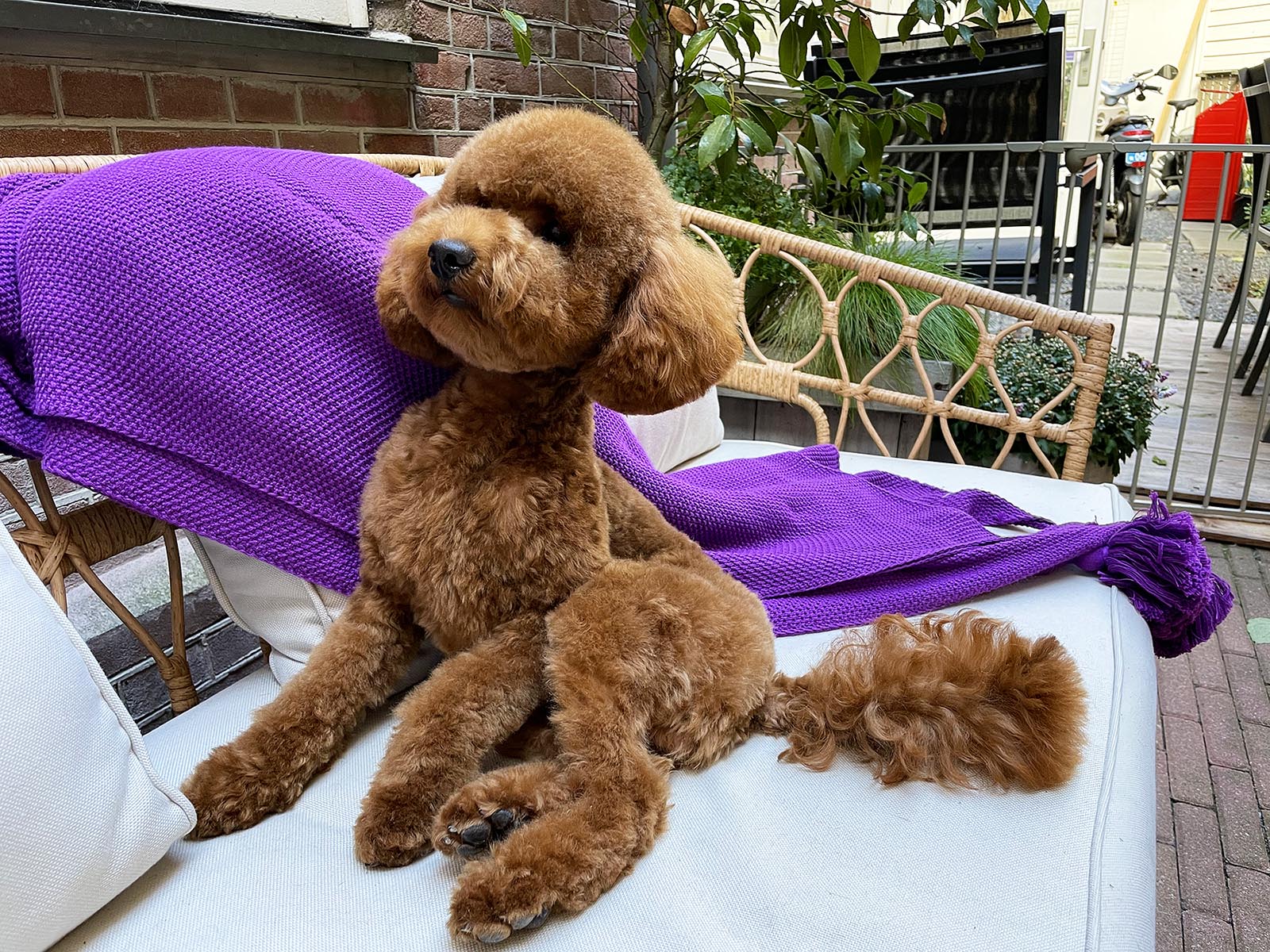 Welcome to Pamppy world! | Pamppy